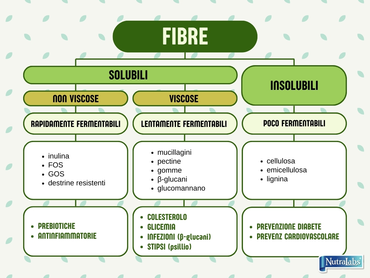 I DIVERSI TIPI DI FIBRE E LE LORO PROPRIETÀ - NutraLabs
